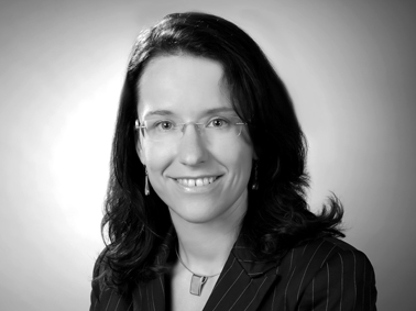 Team Geneva | Parliamentary Careers in Comparison